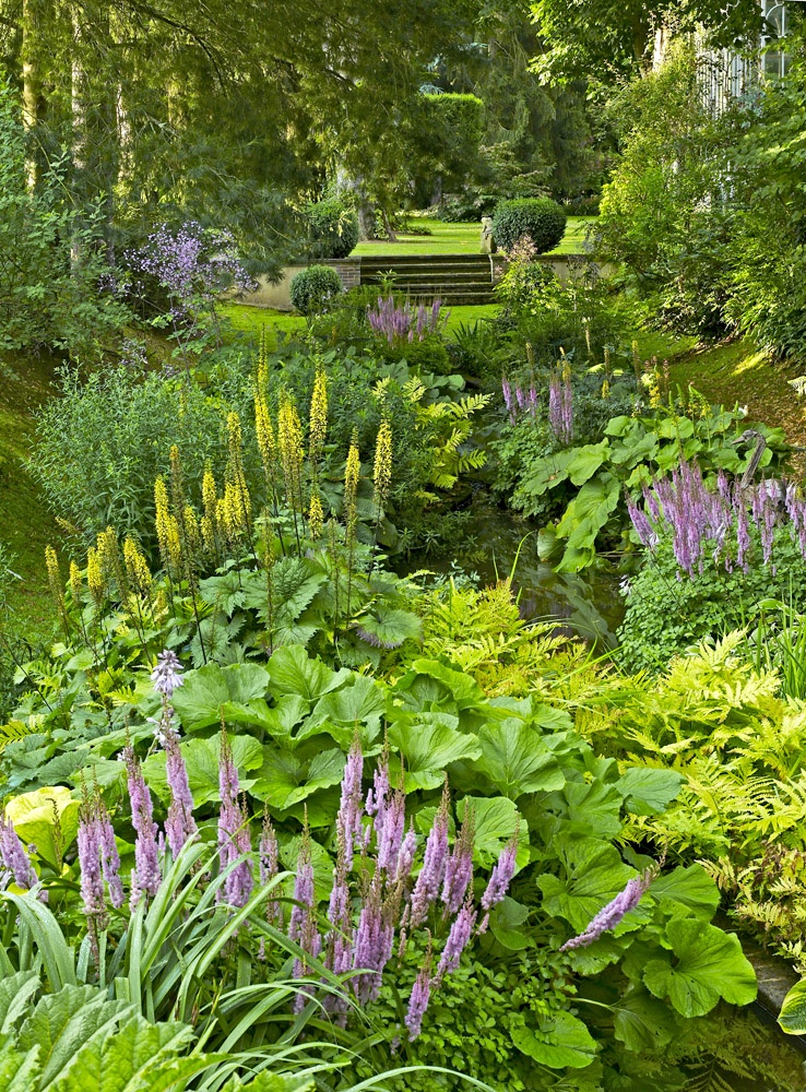 28. Bog Gardens and Bog Filters - Tennessee Water Gardens