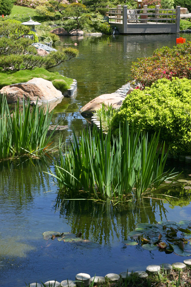 15. Conditioning Your Pond - Tennessee Water Gardens